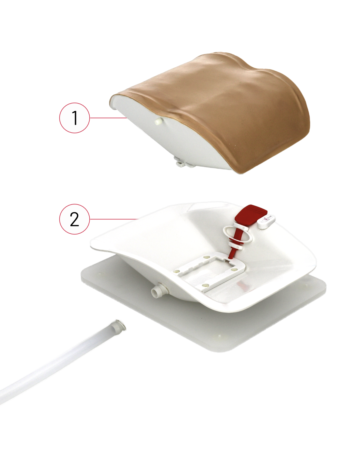 RealSpine Basic Endo – Realists