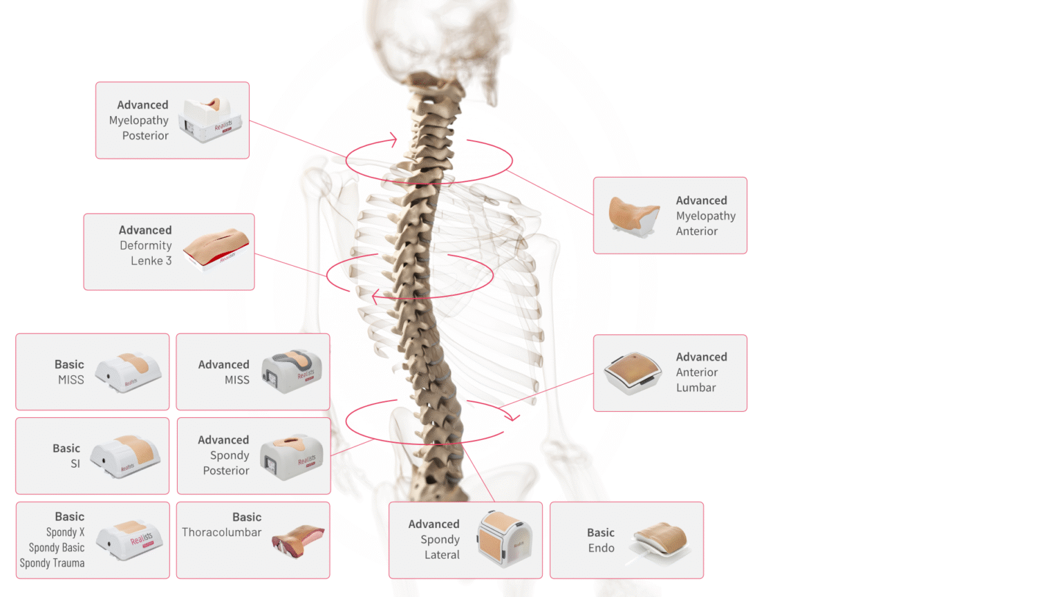 RealSpine – Realists